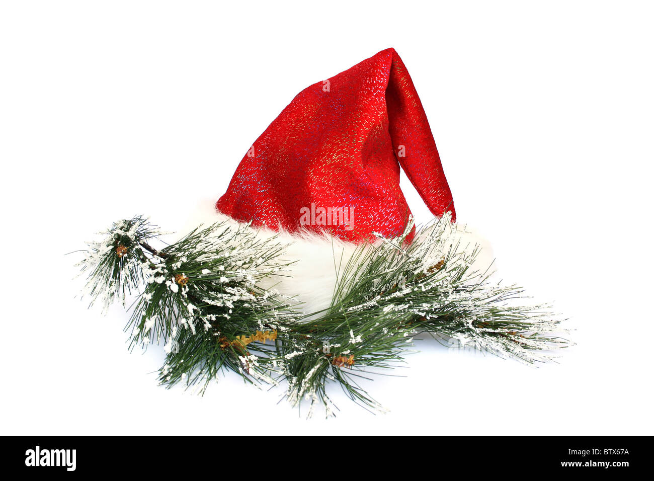 Fluffy snow on branch Cut Out Stock Images & Pictures - Alamy