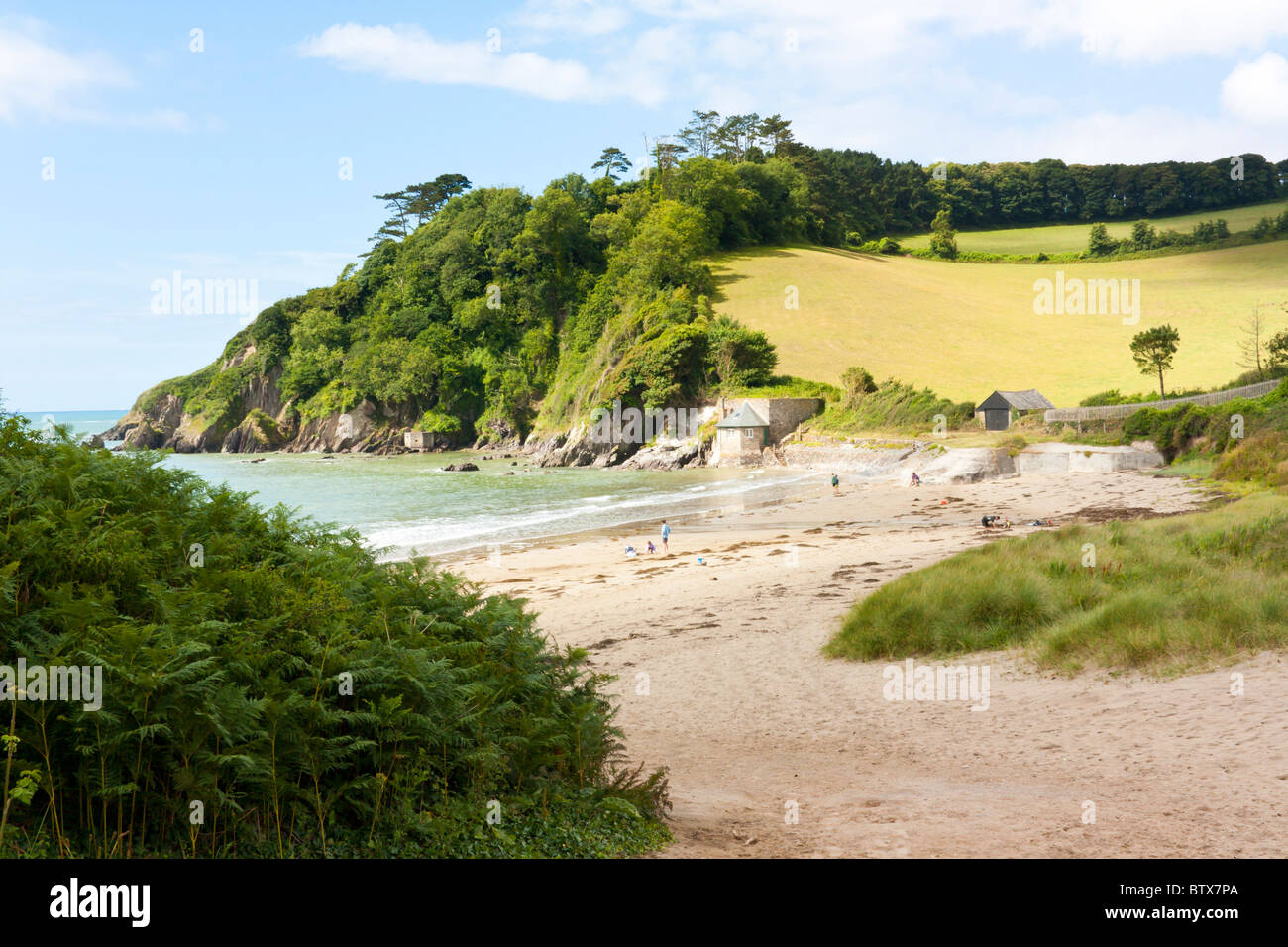 Meadowes Foot beach Mothecombe Devon England Stock Photo - Alamy