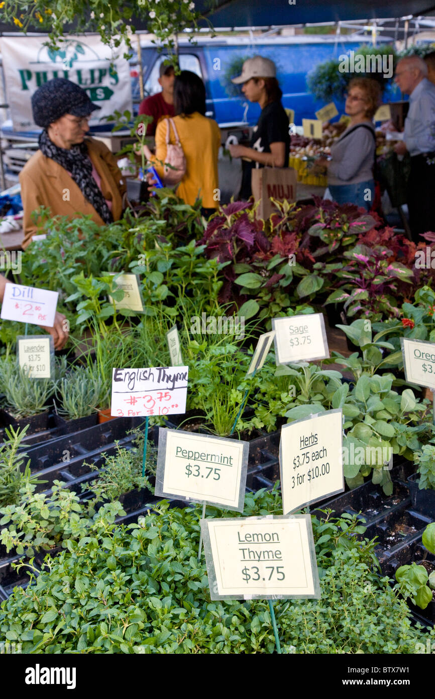 Union Square Park Greenmarket Stock Photo - Alamy