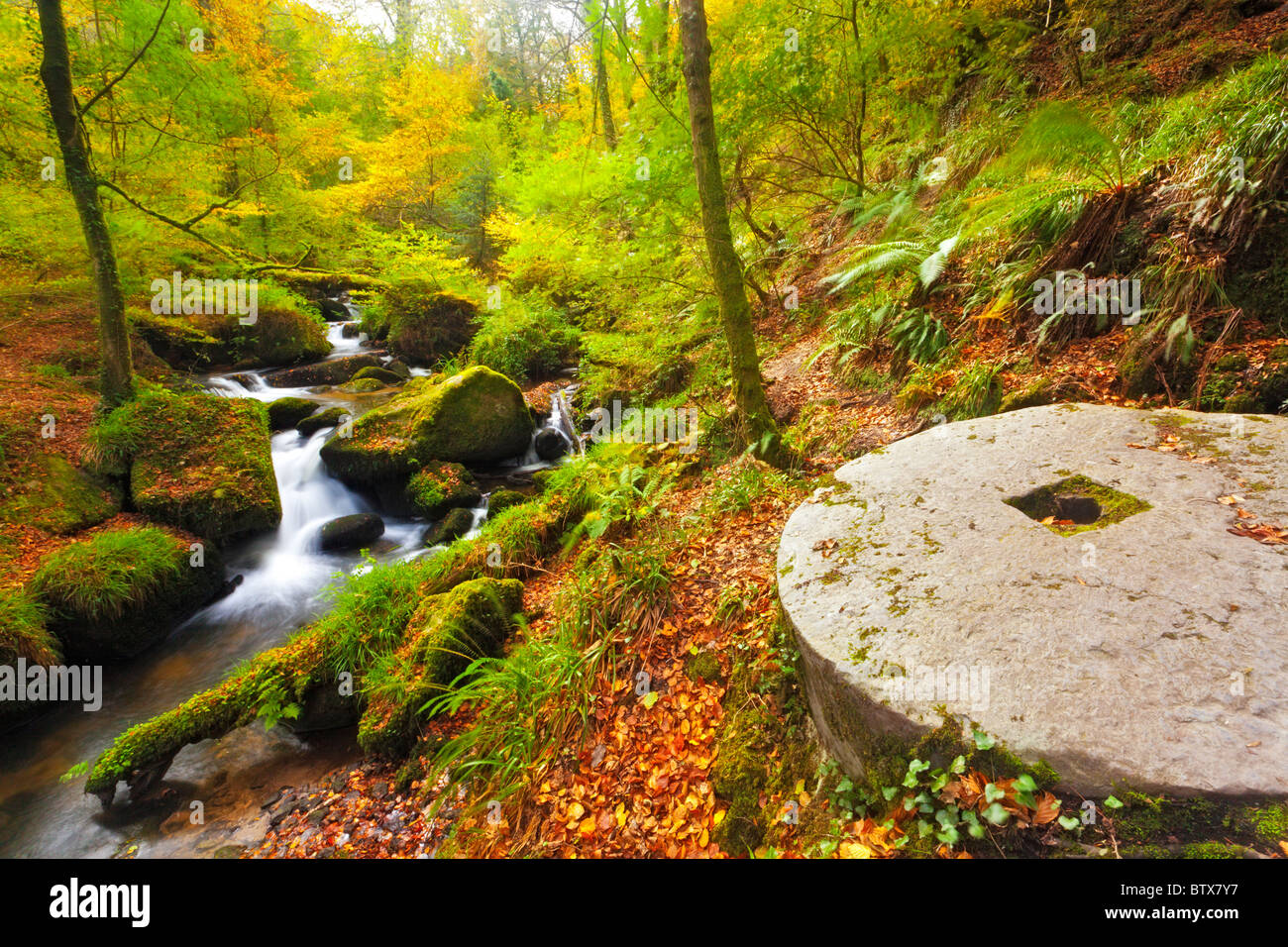 Abandoned Millstone in the Woods at Kennall Vale nature reserve ...