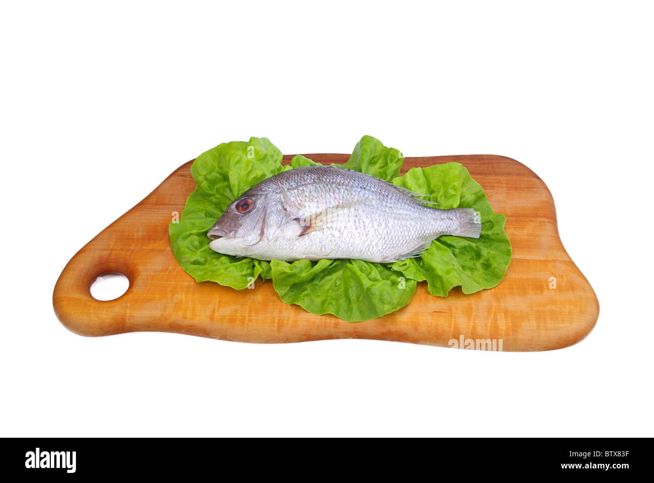Dorade - Gilt head bream 15 Stock Photo - Alamy