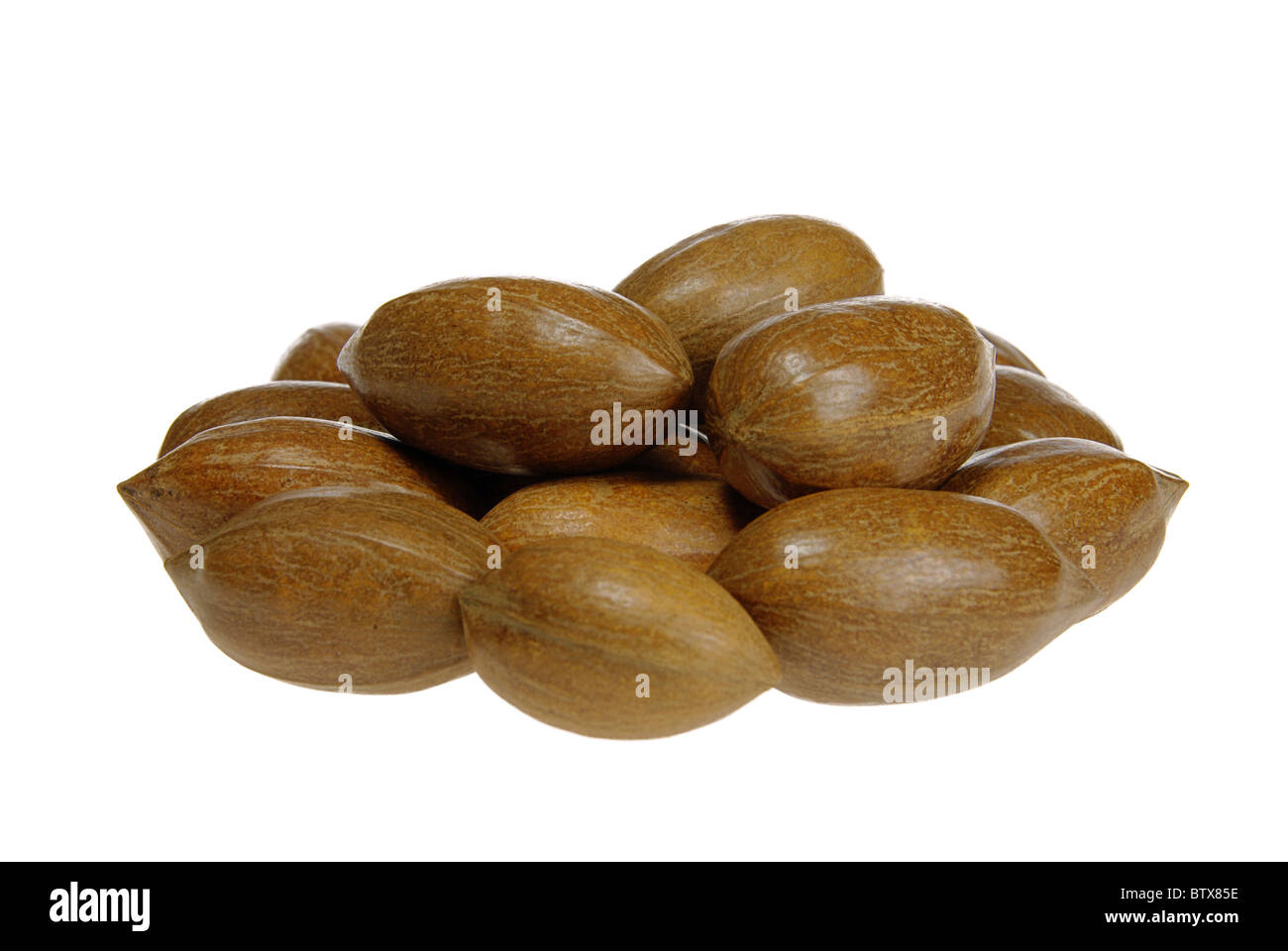 Pecannuss hi-res stock photography and images - Alamy