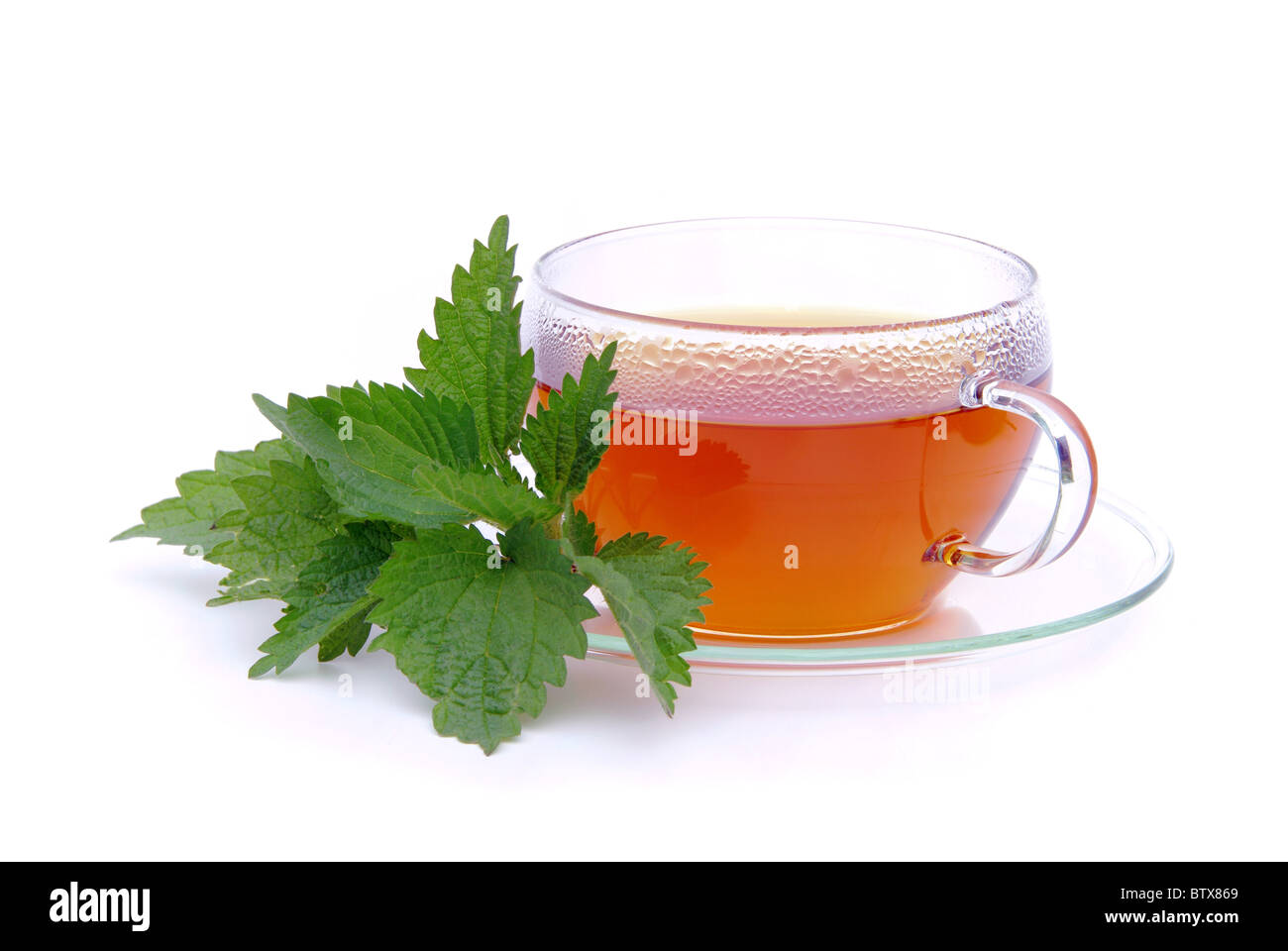Green stinging nettle hi-res stock photography and images - Alamy