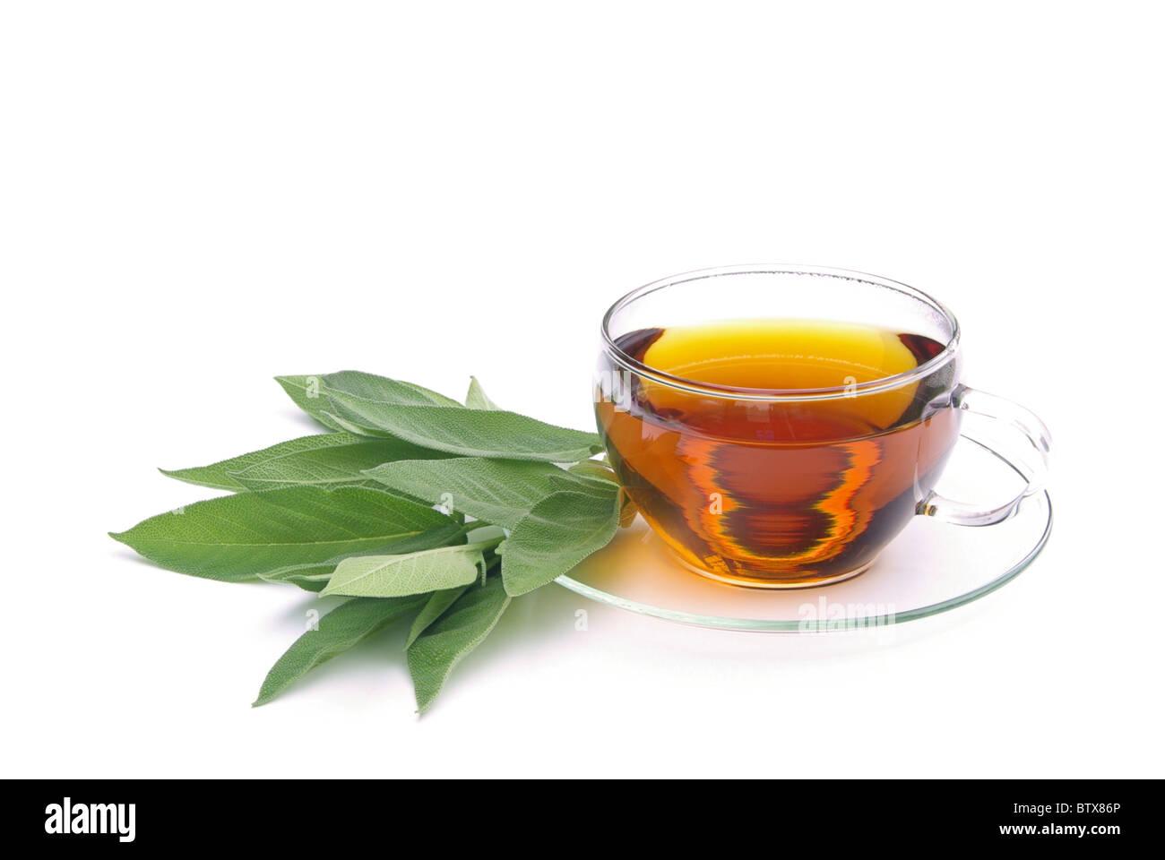 Salbeiblatt hi-res stock photography and images - Alamy