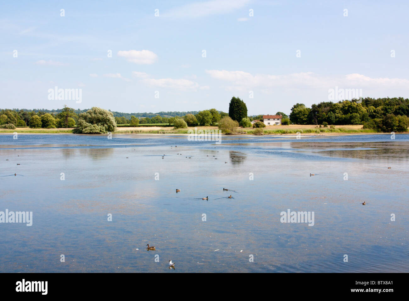 Chew Valley Lake, Somerset England UK Stock Photo - Alamy