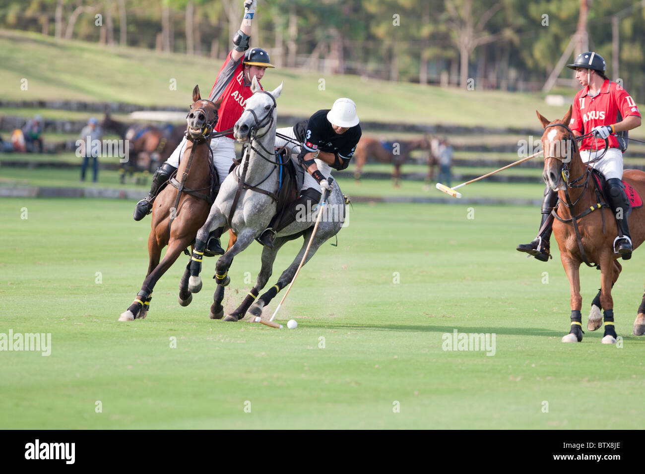 Three polo players compete for the ball Stock Photo - Alamy