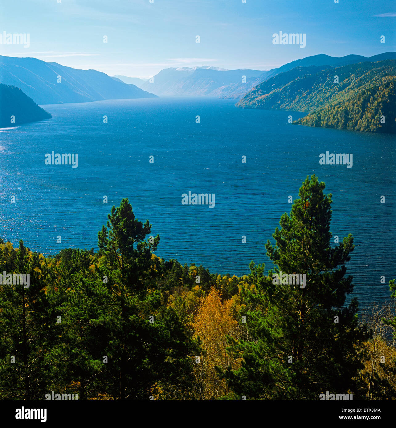 Teletskoye lake. The Altai State Nature Reserve. Siberia. Russian ...