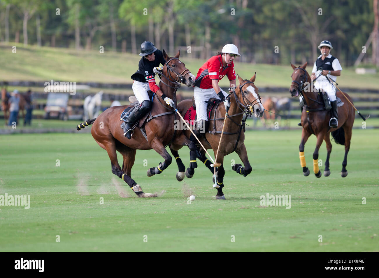 Horse chasing man hi-res stock photography and images - Alamy