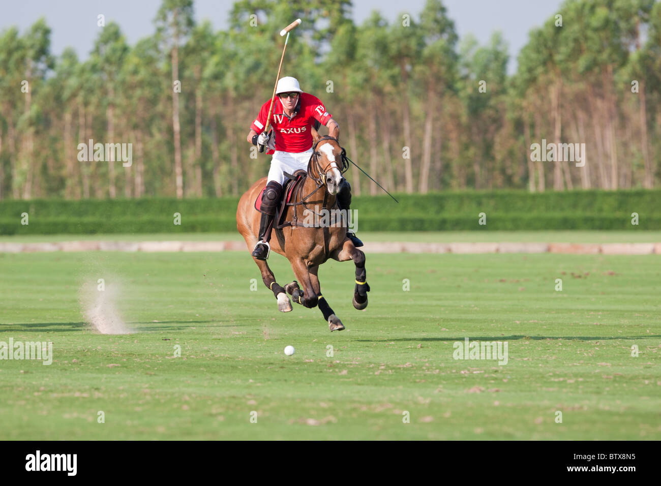 A polo player chases the ball Stock Photo - Alamy