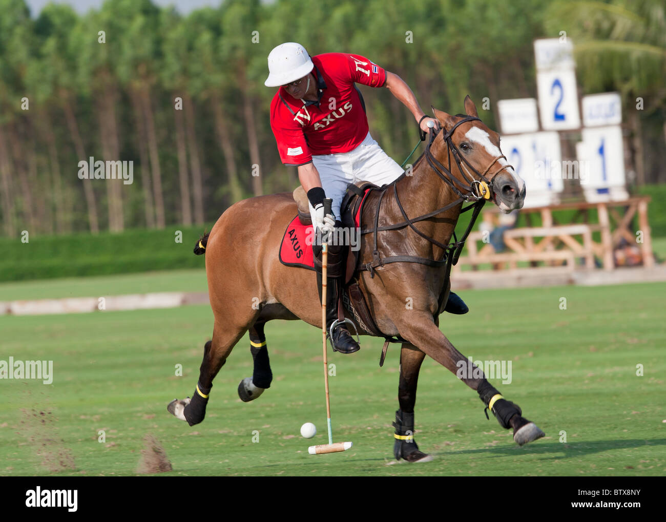 Polo player hi-res stock photography and images - Alamy