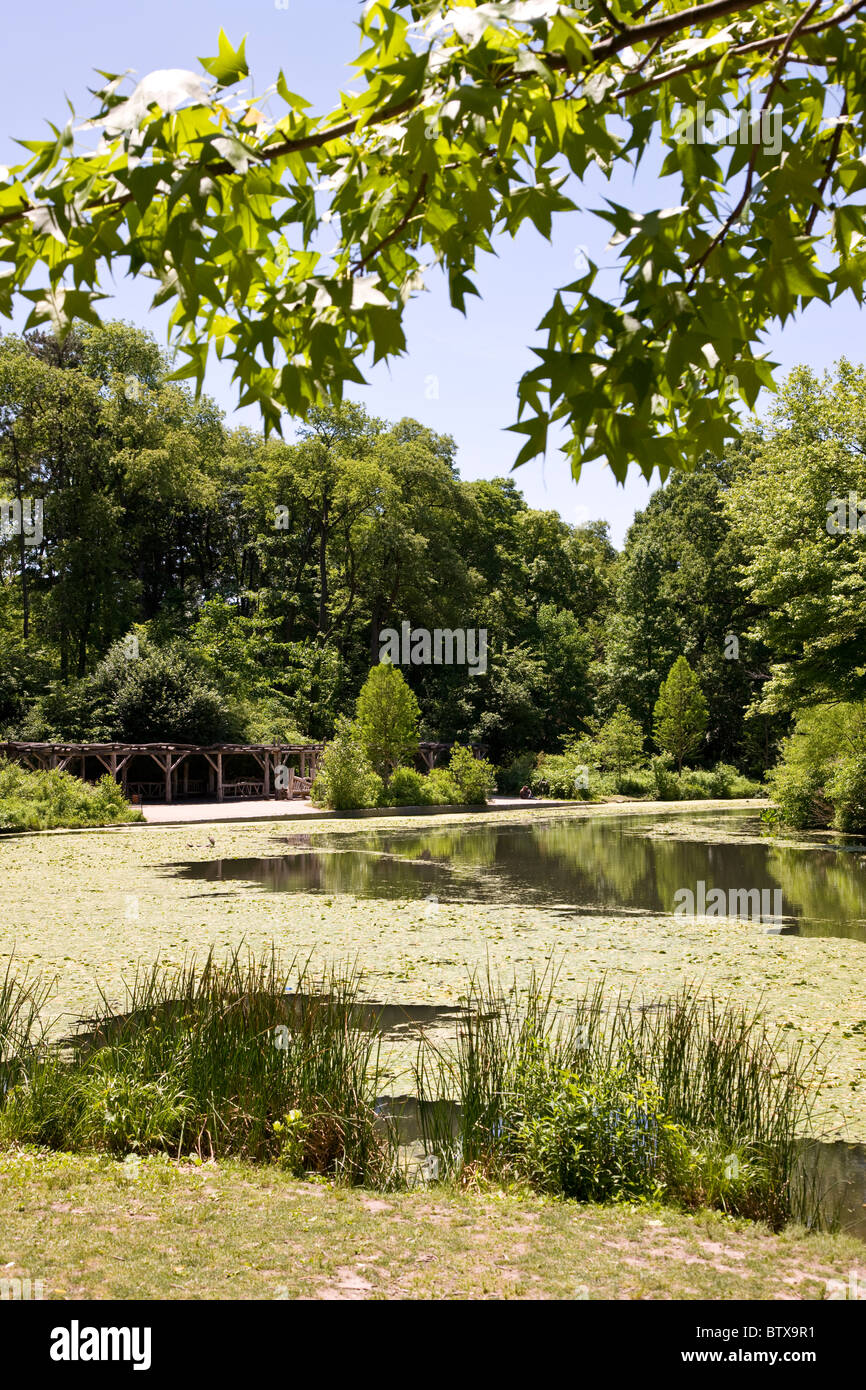 Prospect Park in Brooklyn Stock Photo - Alamy