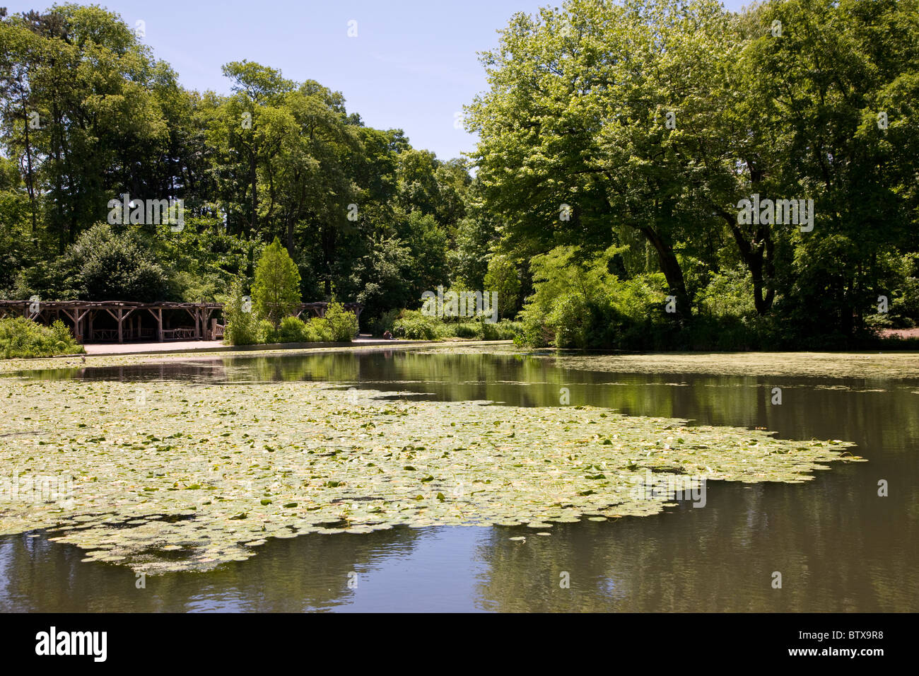 Prospect Park in Brooklyn Stock Photo - Alamy