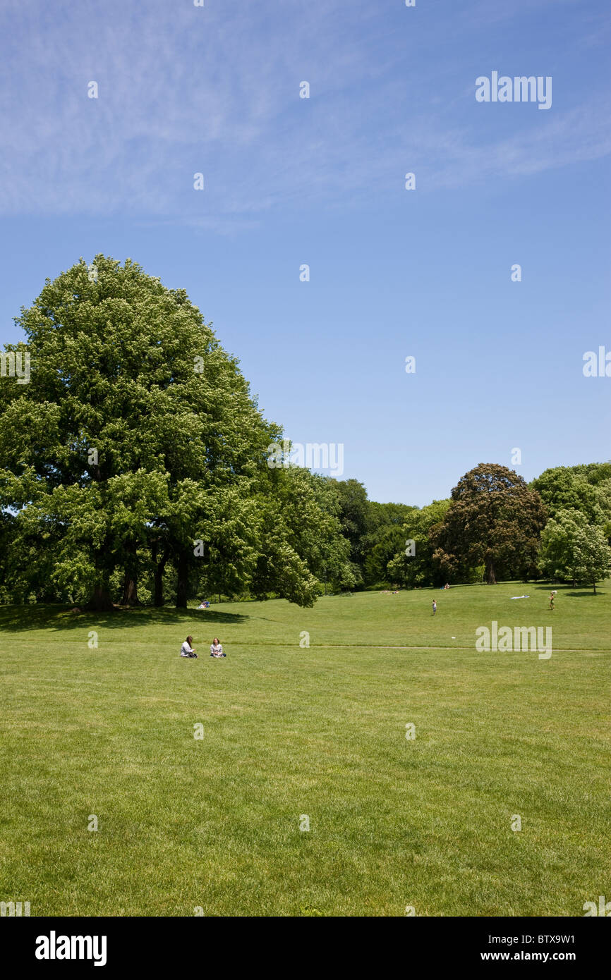 Prospect Park in Brooklyn Stock Photo - Alamy