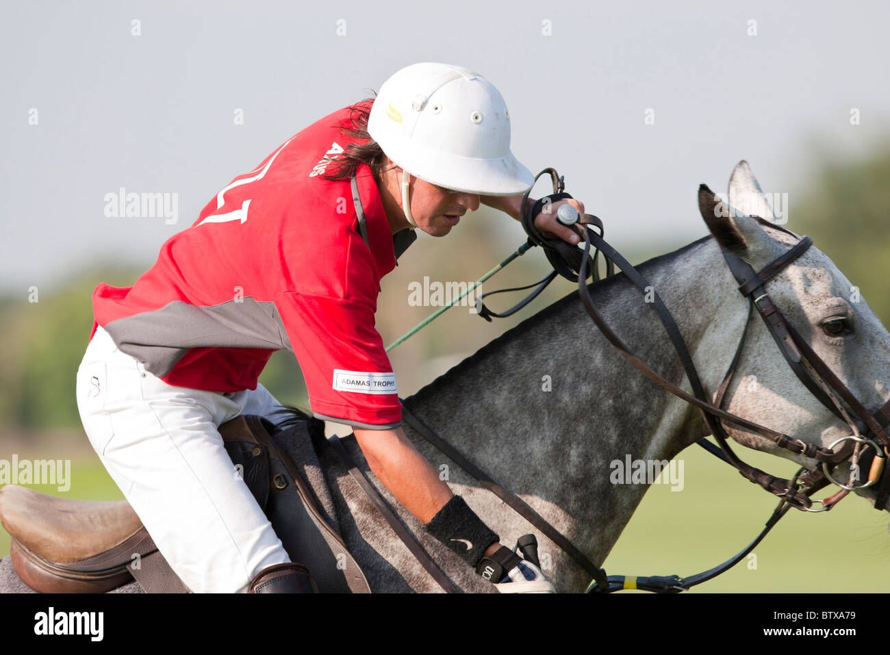 Close-up of a polo player in action Stock Photo - Alamy