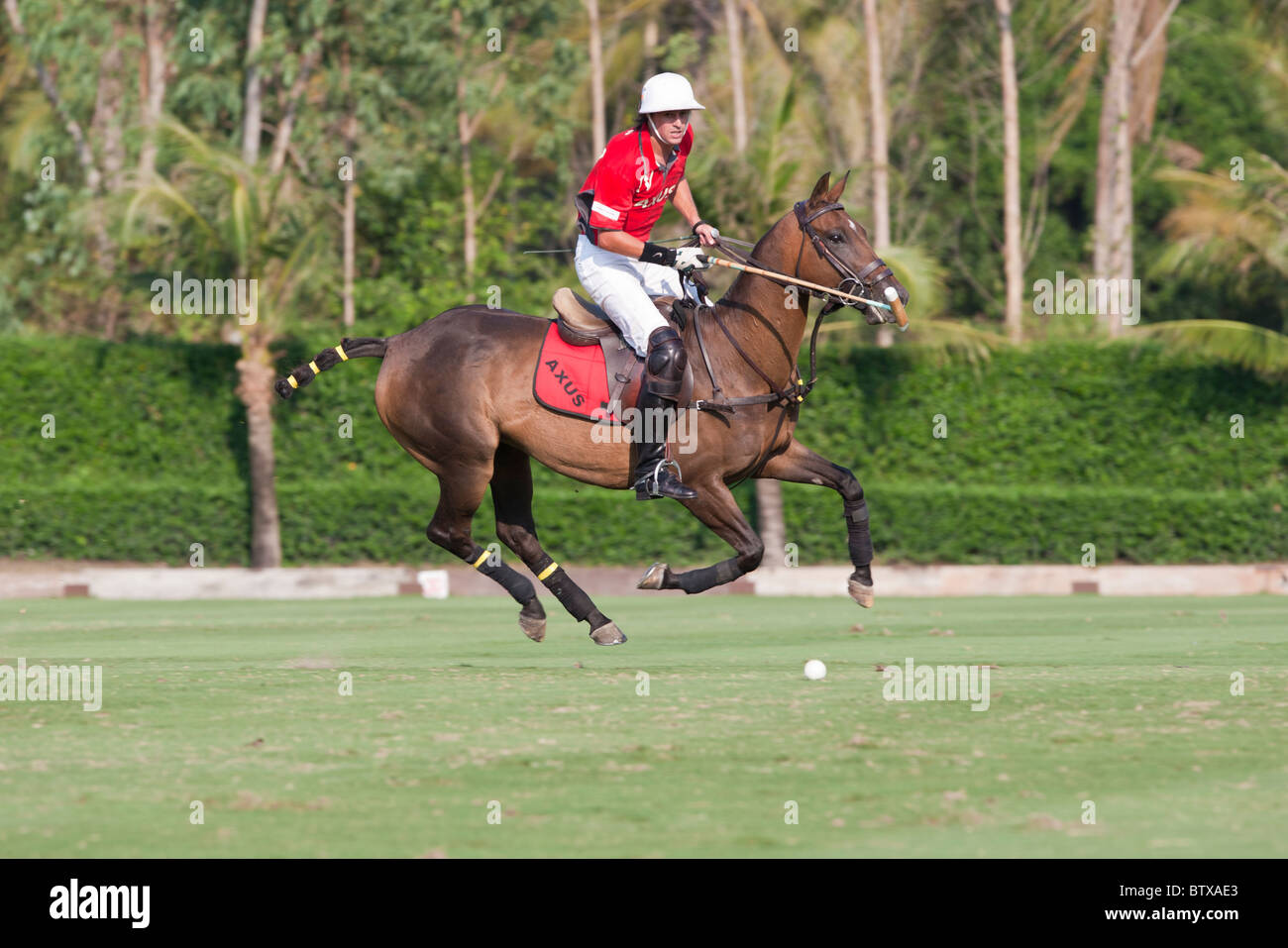 A polo player approaches the ball Stock Photo - Alamy