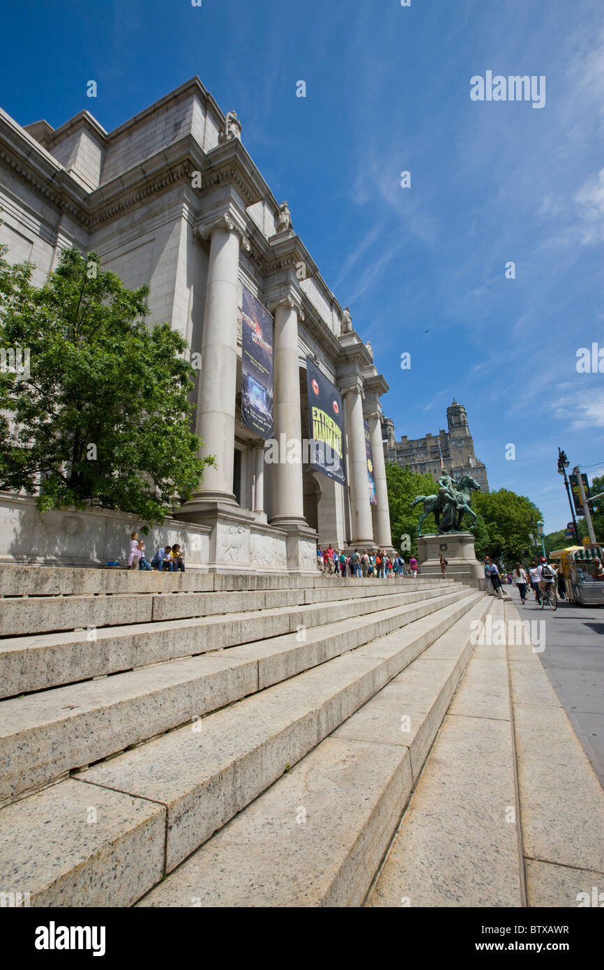 American Museum of Natural History Stock Photo - Alamy