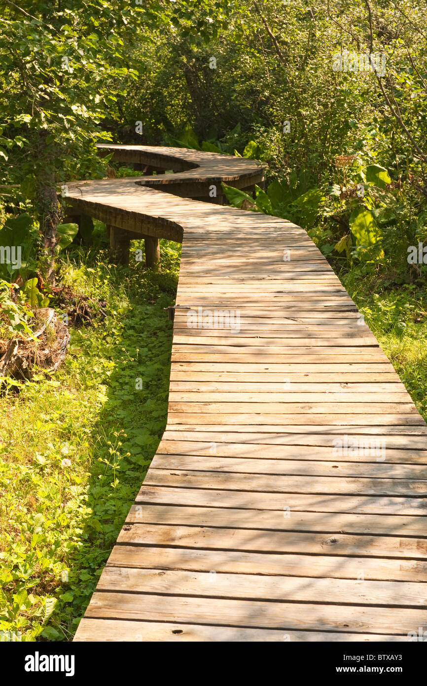 Skunk Cabbage self-guiding trail at stop area on Trans Canada Highway 1 ...