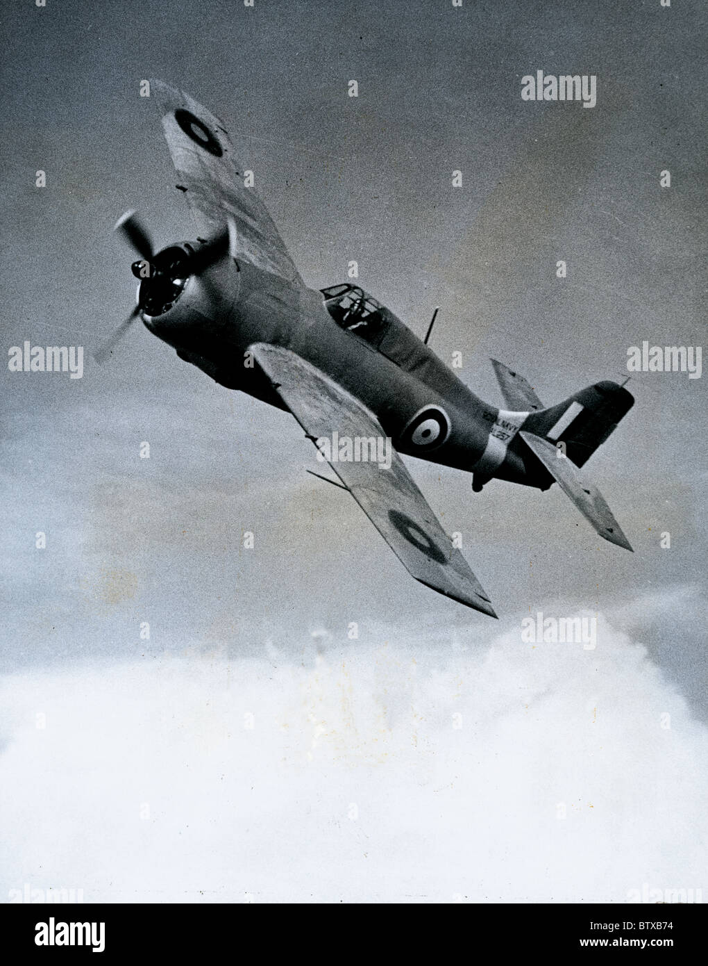 Grumman f4f wildcat hi-res stock photography and images - Alamy