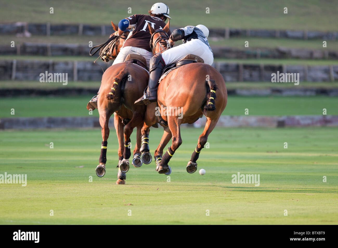 A rear view of two polo players fighting for the ball Stock Photo - Alamy