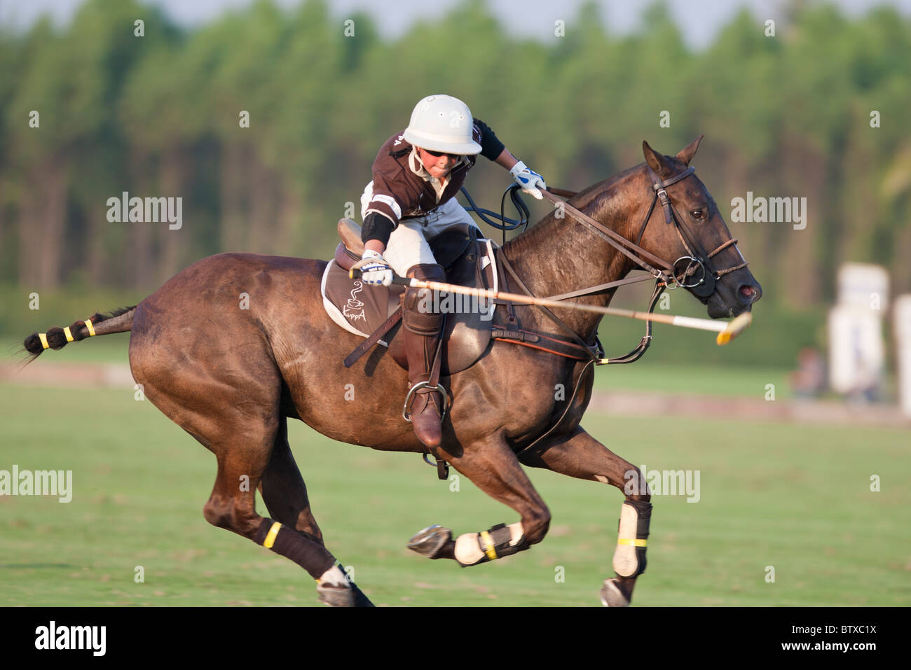 A young polo player in action Stock Photo - Alamy