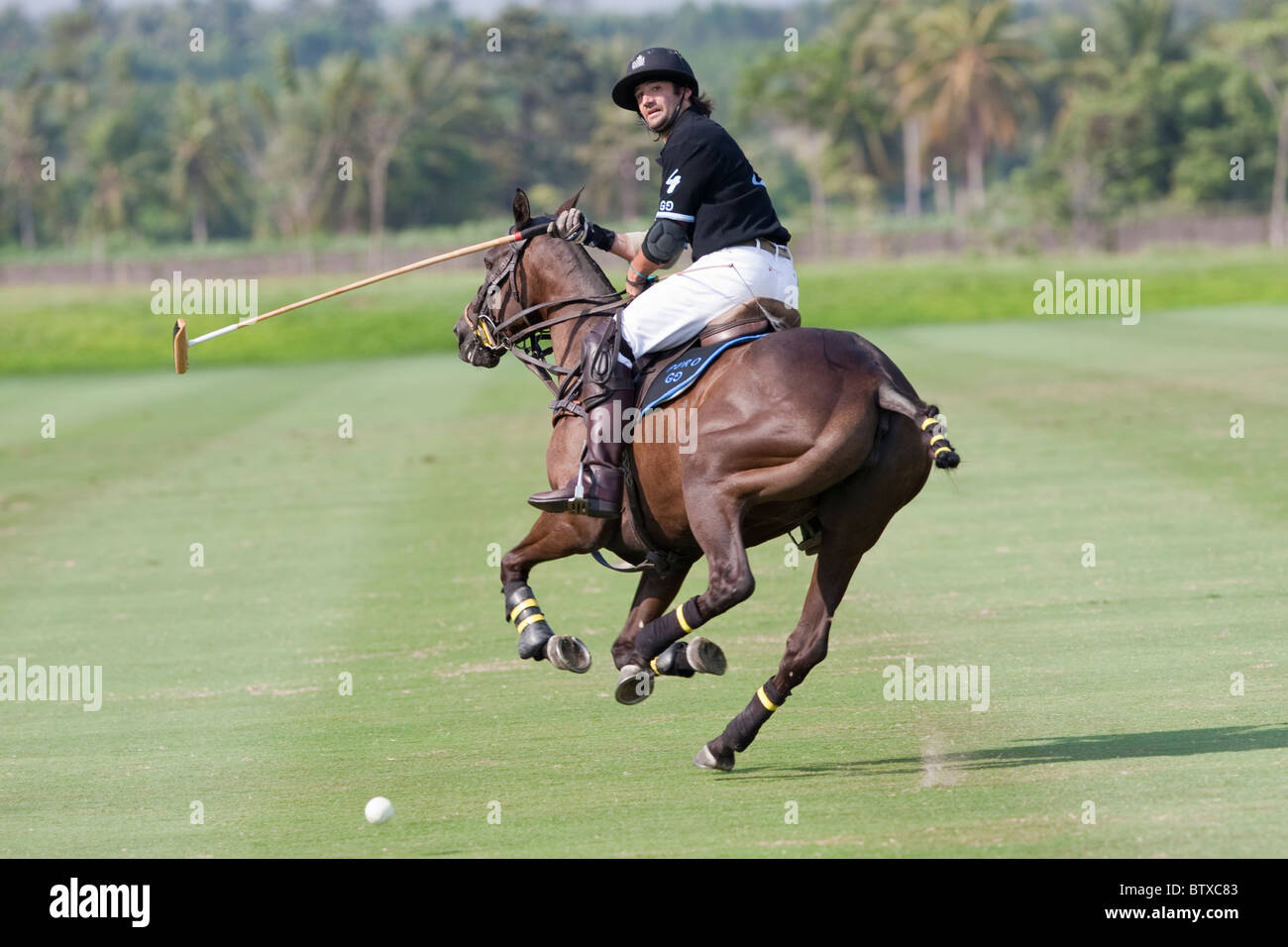 Polo Player High Resolution Stock Photography and Images - Alamy