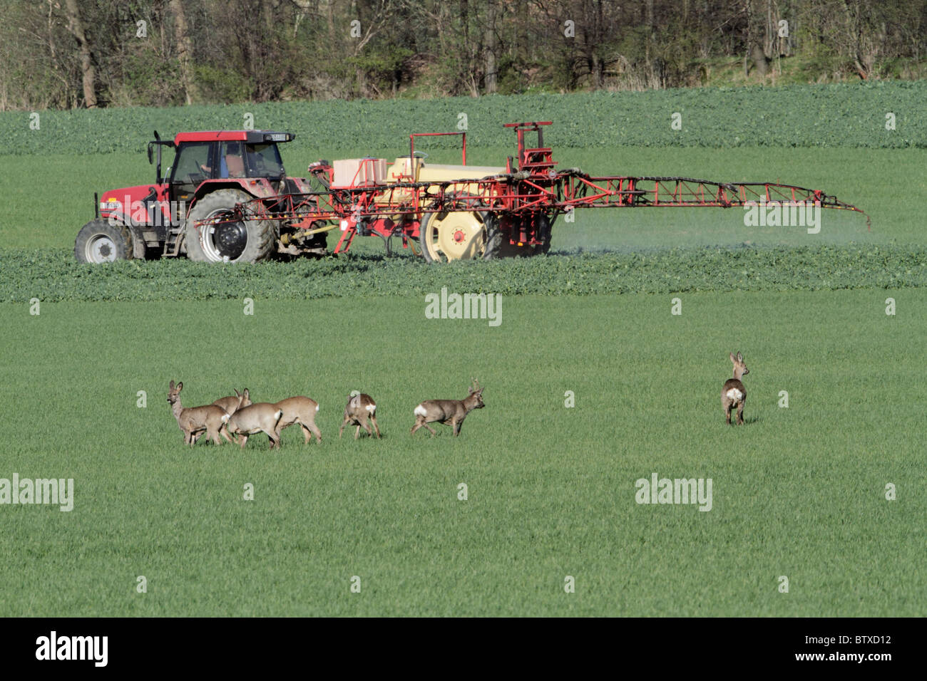 Farmer spraying crops tractor hi-res stock photography and images - Alamy