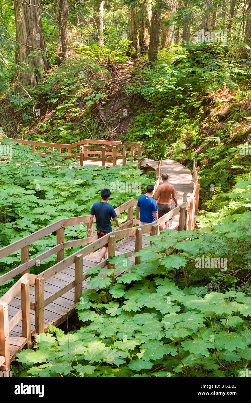 Giant Cedars Boardwalk self-guiding trail, Giant Cedars stop area ...