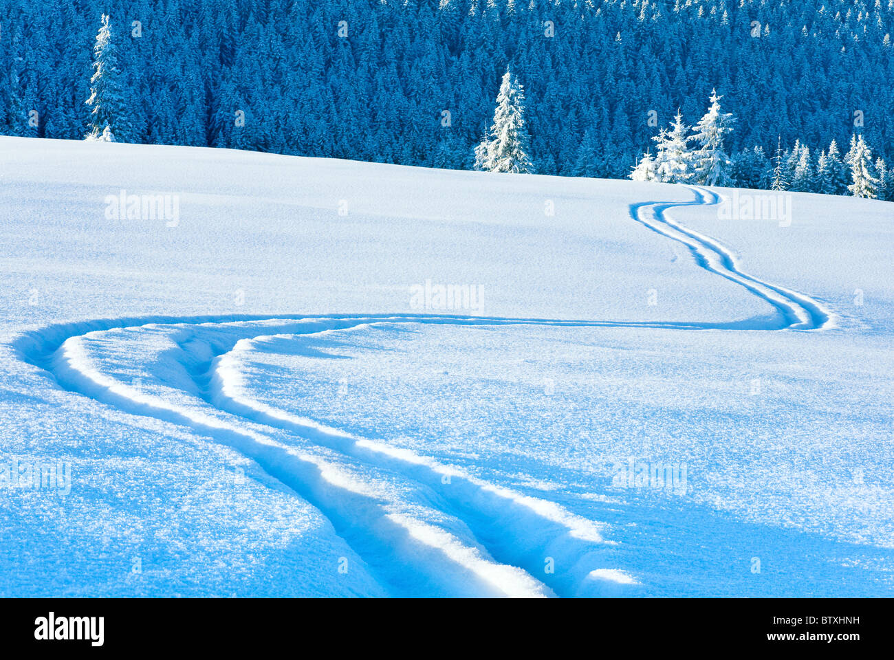 Ski trace on snow surface and winter mountain fir forest behind Stock ...