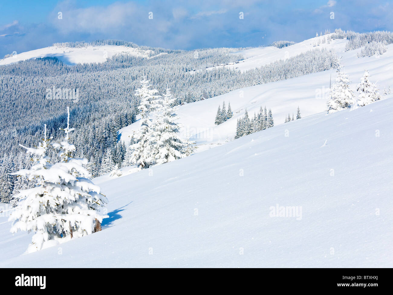 Winter mountain view with snow surface on mountainside in front and fir ...