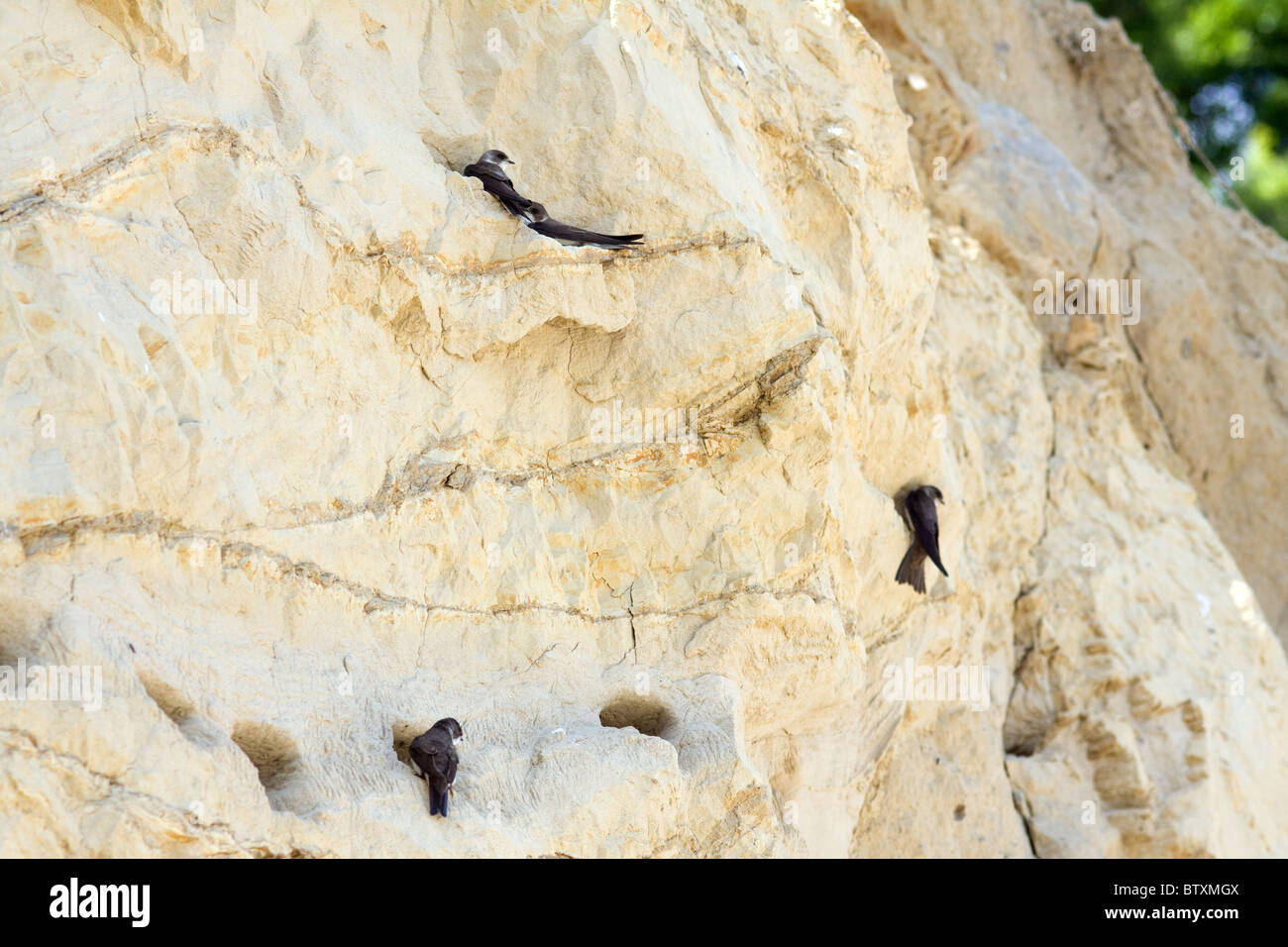 Friable sandstone hi-res stock photography and images - Alamy