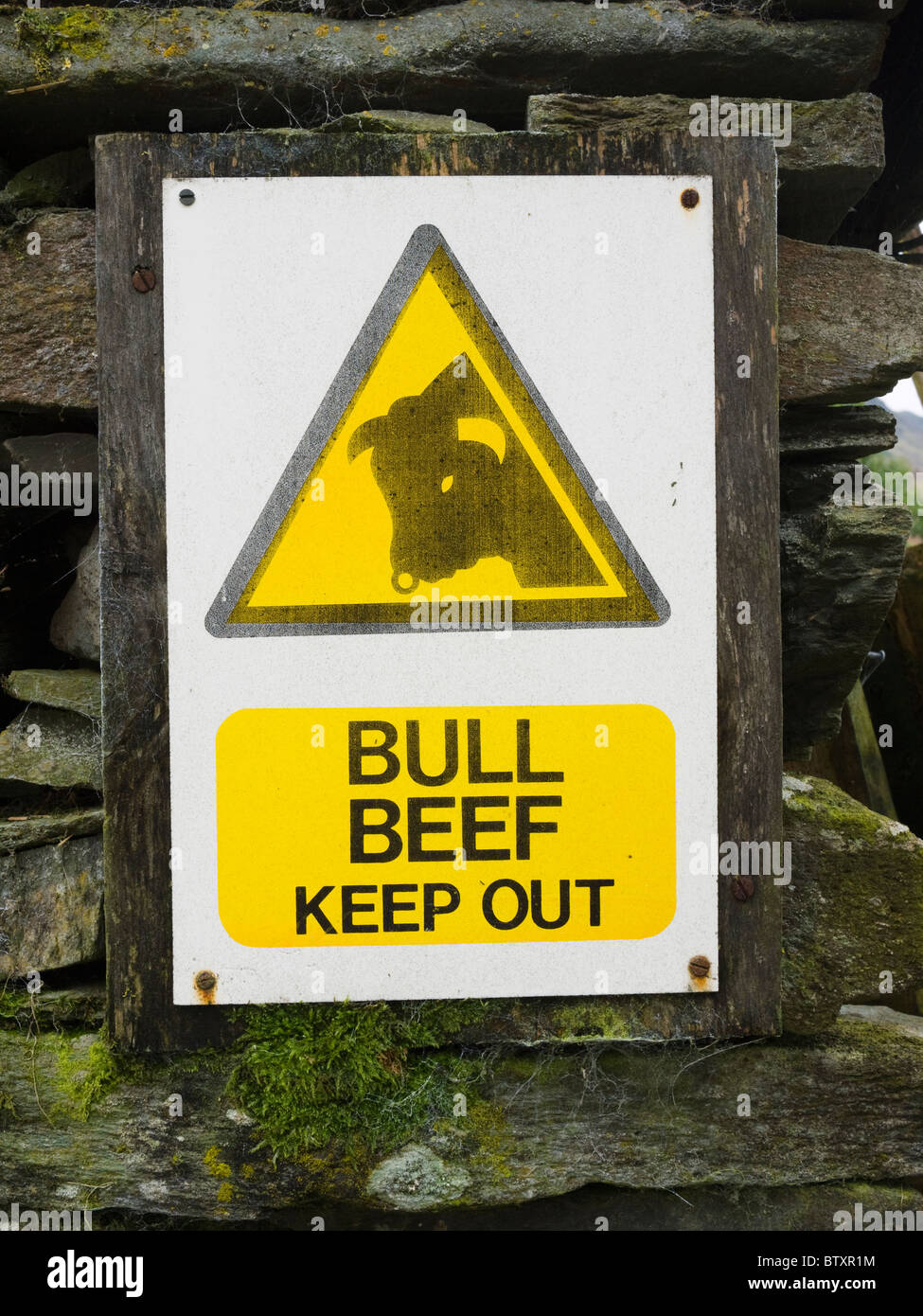 Warning bull sign High Resolution Stock Photography and Images - Alamy