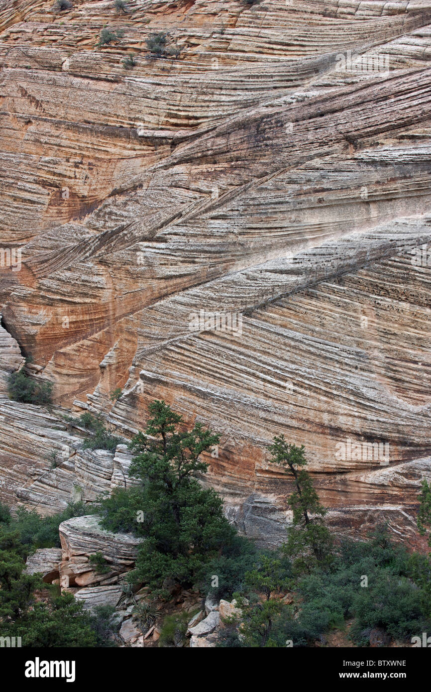 Sandstone Formations Showing Layers - Zion National Park -Utah - USA ...