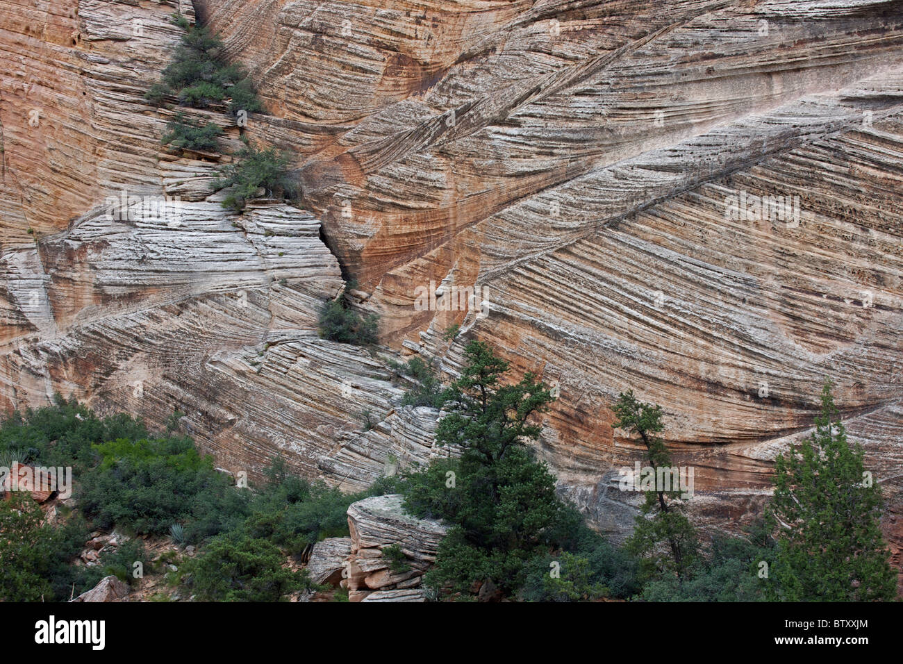 Sandstone Formations Showing Layers - Zion National Park -Utah - USA ...