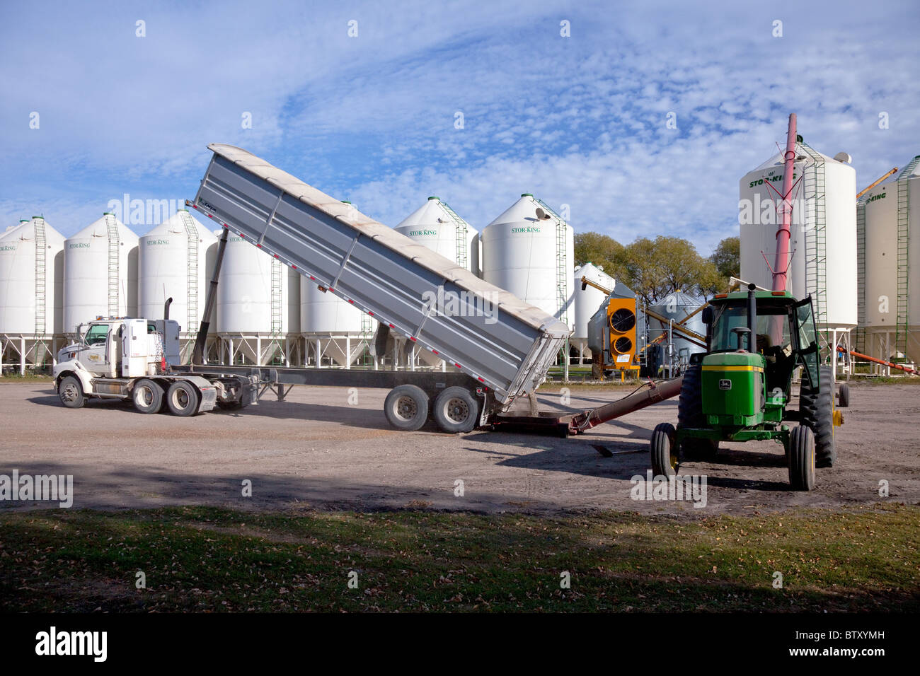 Unloading a truck load of beans into hopper bins on the Froese farm ...