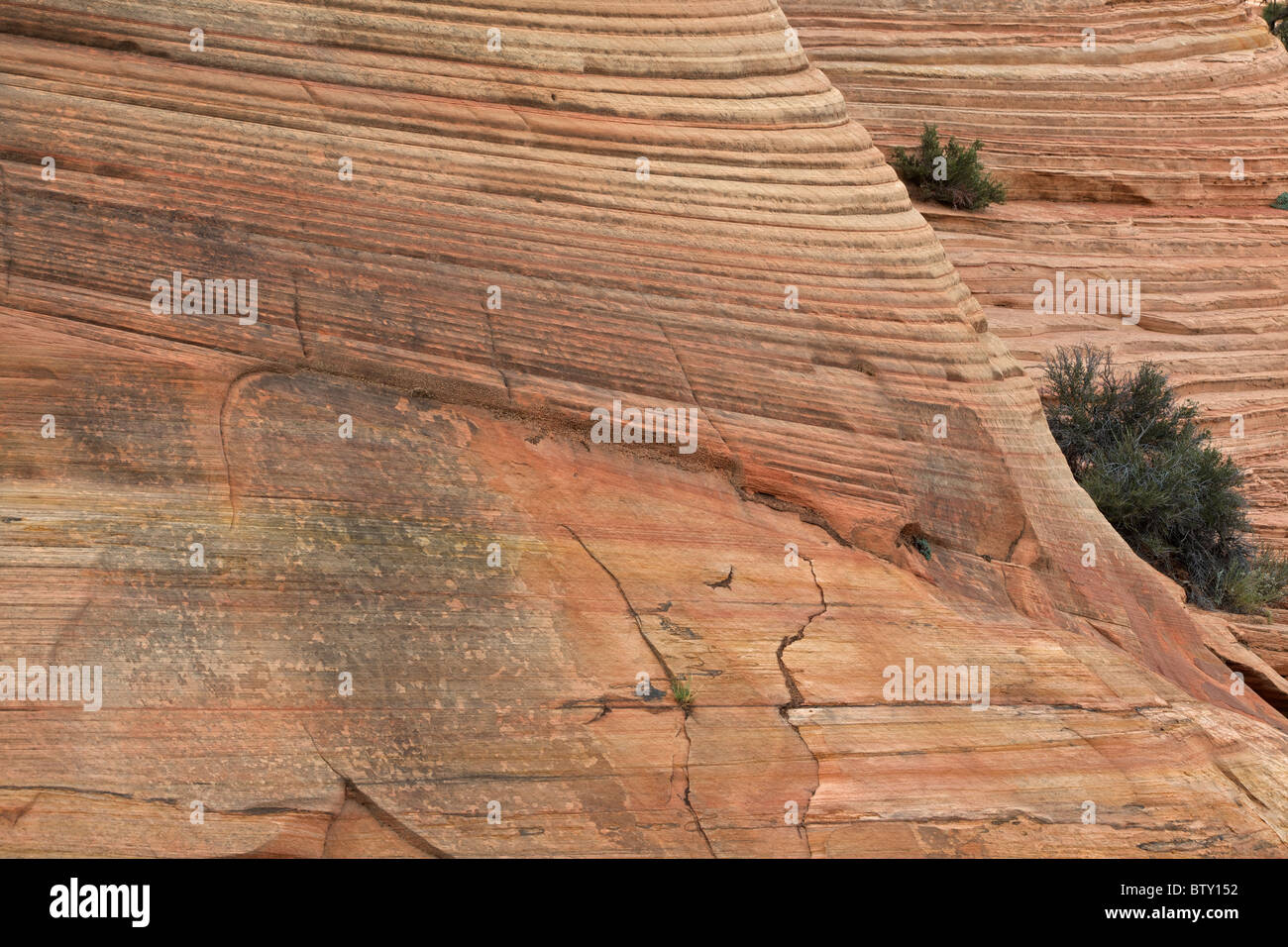 Zion National Park - Utah - USA - Showing cross-bedded layers in ...