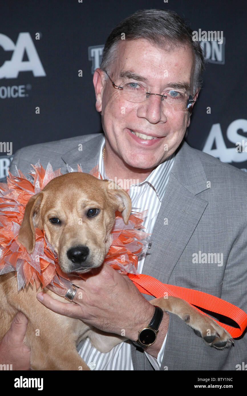 The Young Friends of The ASPCA Annual Fundraiser Stock Photo - Alamy