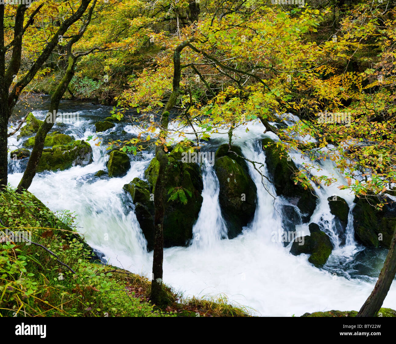 Colwith Force Waterfall on the River Brathay in The Lake District ...