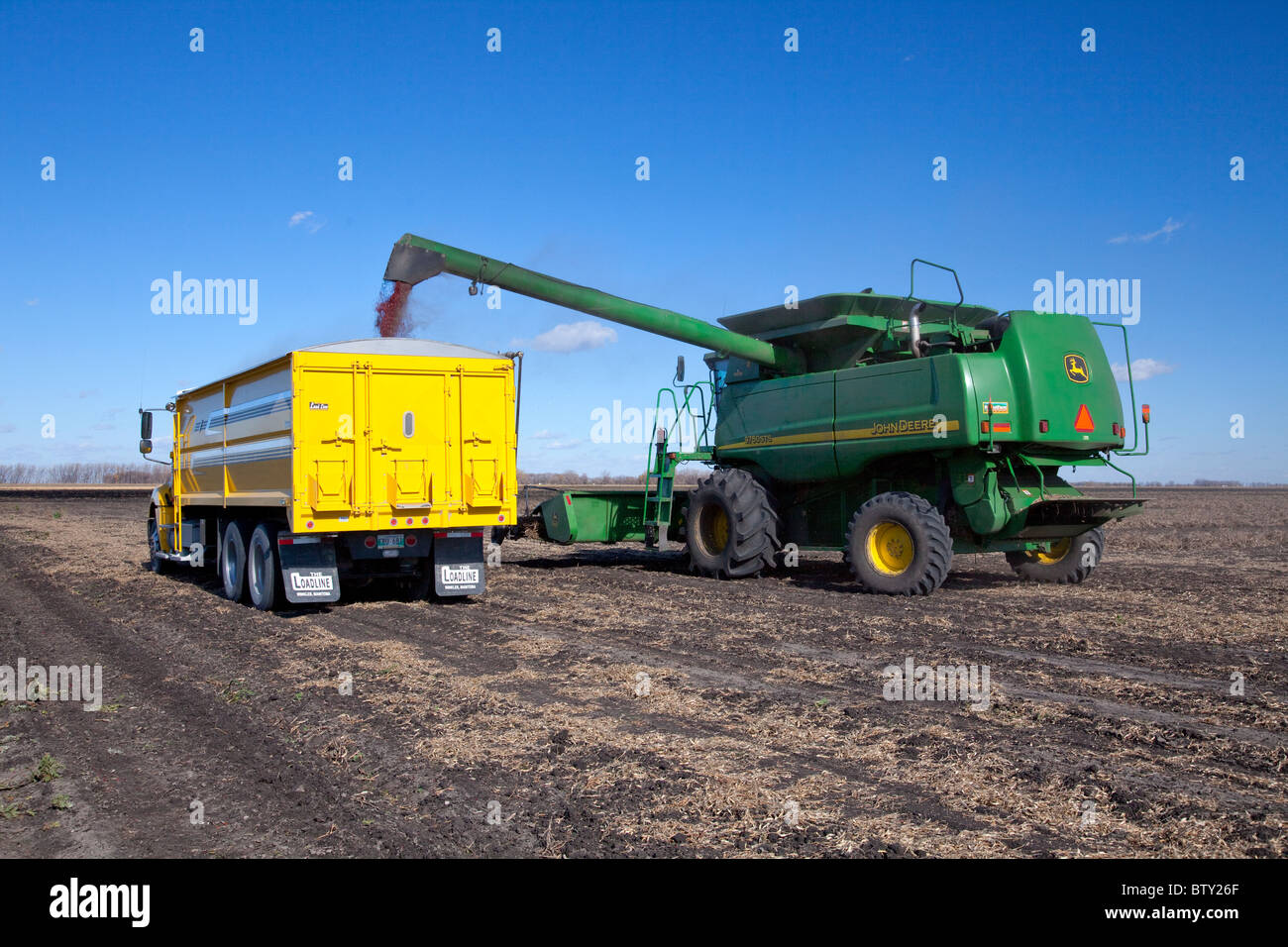 A grain combine unloading beans into a truck on the Froese farm near ...