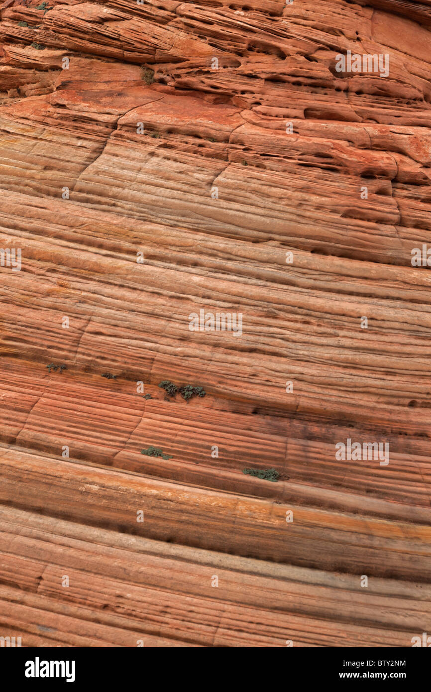 Cross bedded sandstone hi-res stock photography and images - Alamy