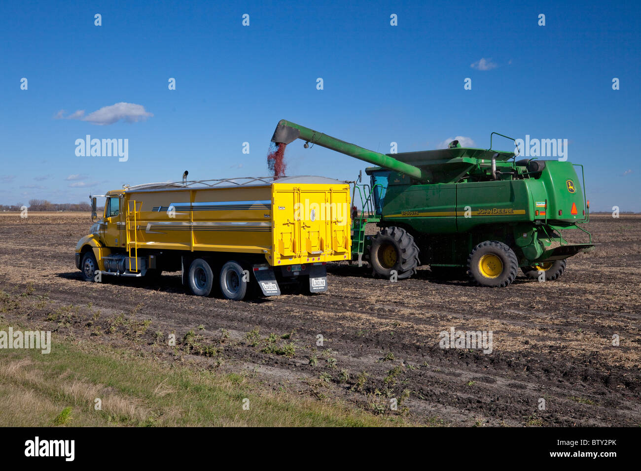 A grain combine unloading beans into a truck on the Froese farm near ...