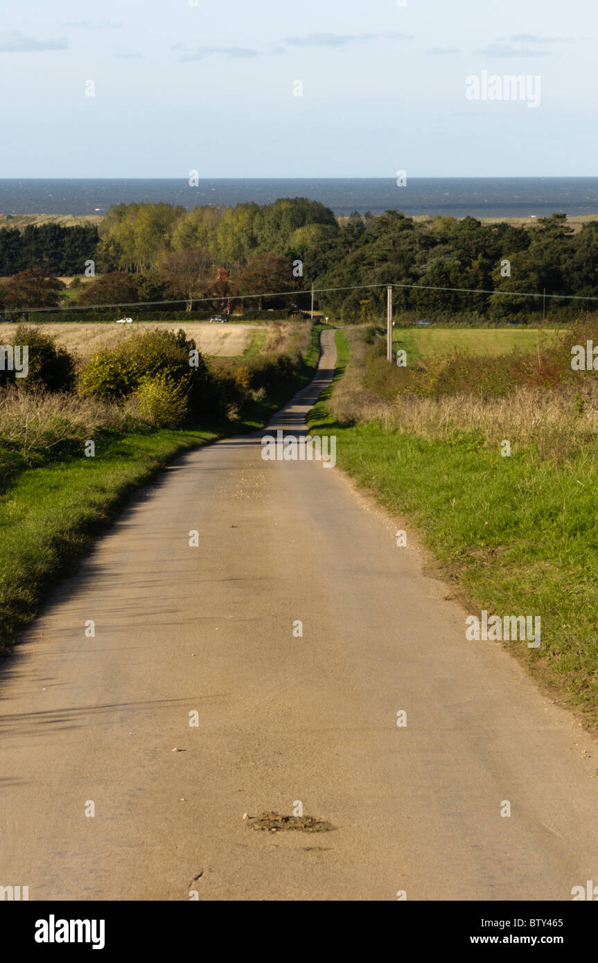 Typical country lane behind Thornham on the north Norfolk coast ...