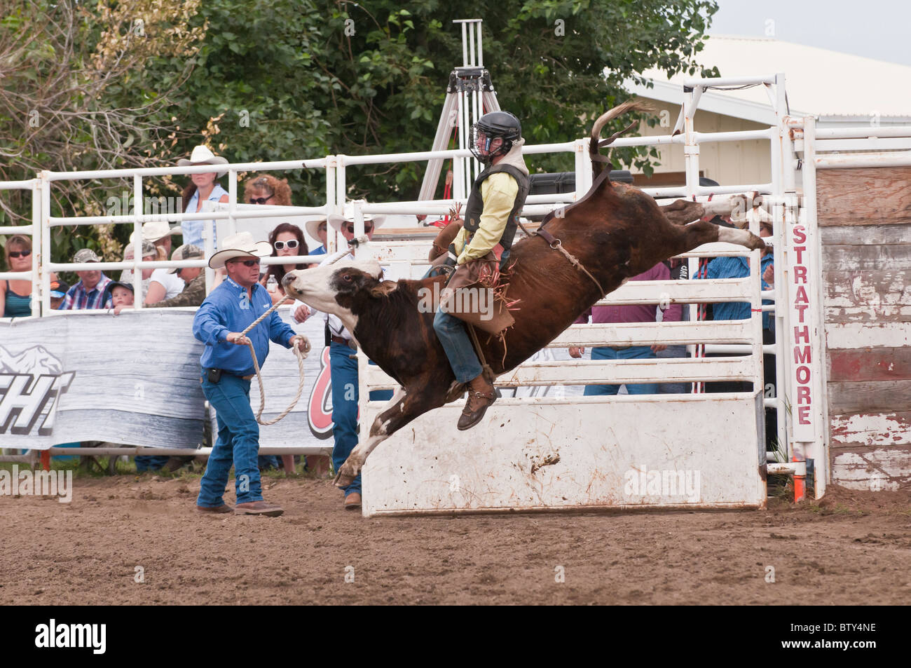 Junior bull riding, Strathmore Heritage Days, Rodeo, Strathmore ...