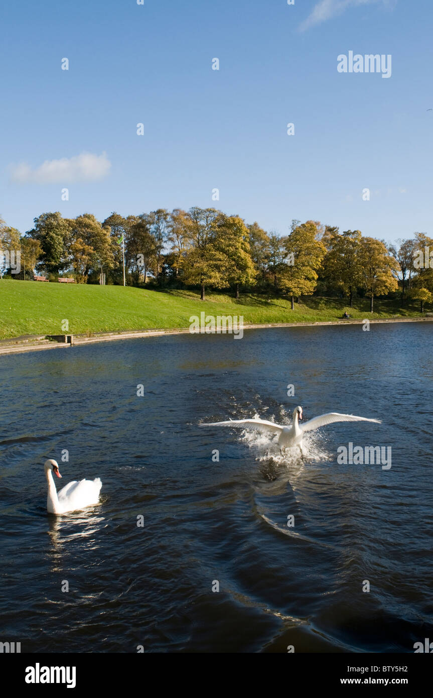 Inverleith pond park edinburgh hi-res stock photography and images - Alamy