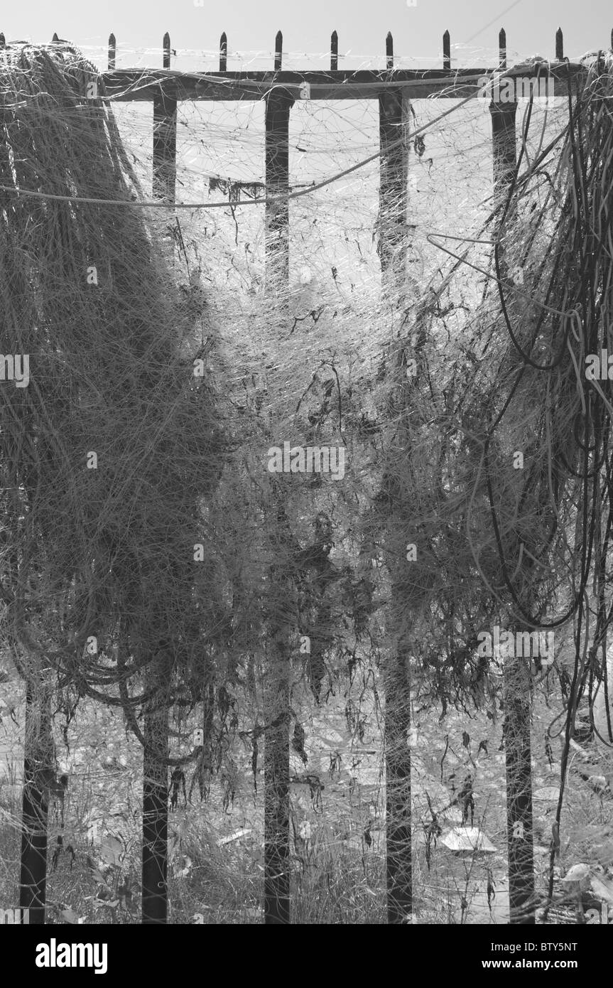 Fish railings hi-res stock photography and images - Alamy