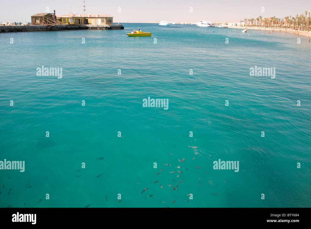 Hurghada Egypt Africa Coral Reef "Coral Reef" Turquoise Seascape ...