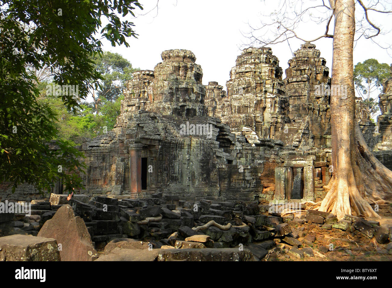Monument in the jungle, Ta Prom, Angkor Vat, Cambodia Stock Photo - Alamy