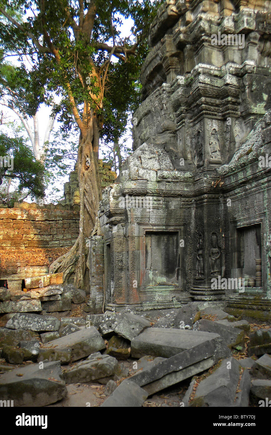 Monument in the jungle, Ta Prom, Angkor Vat, Cambodia Stock Photo - Alamy
