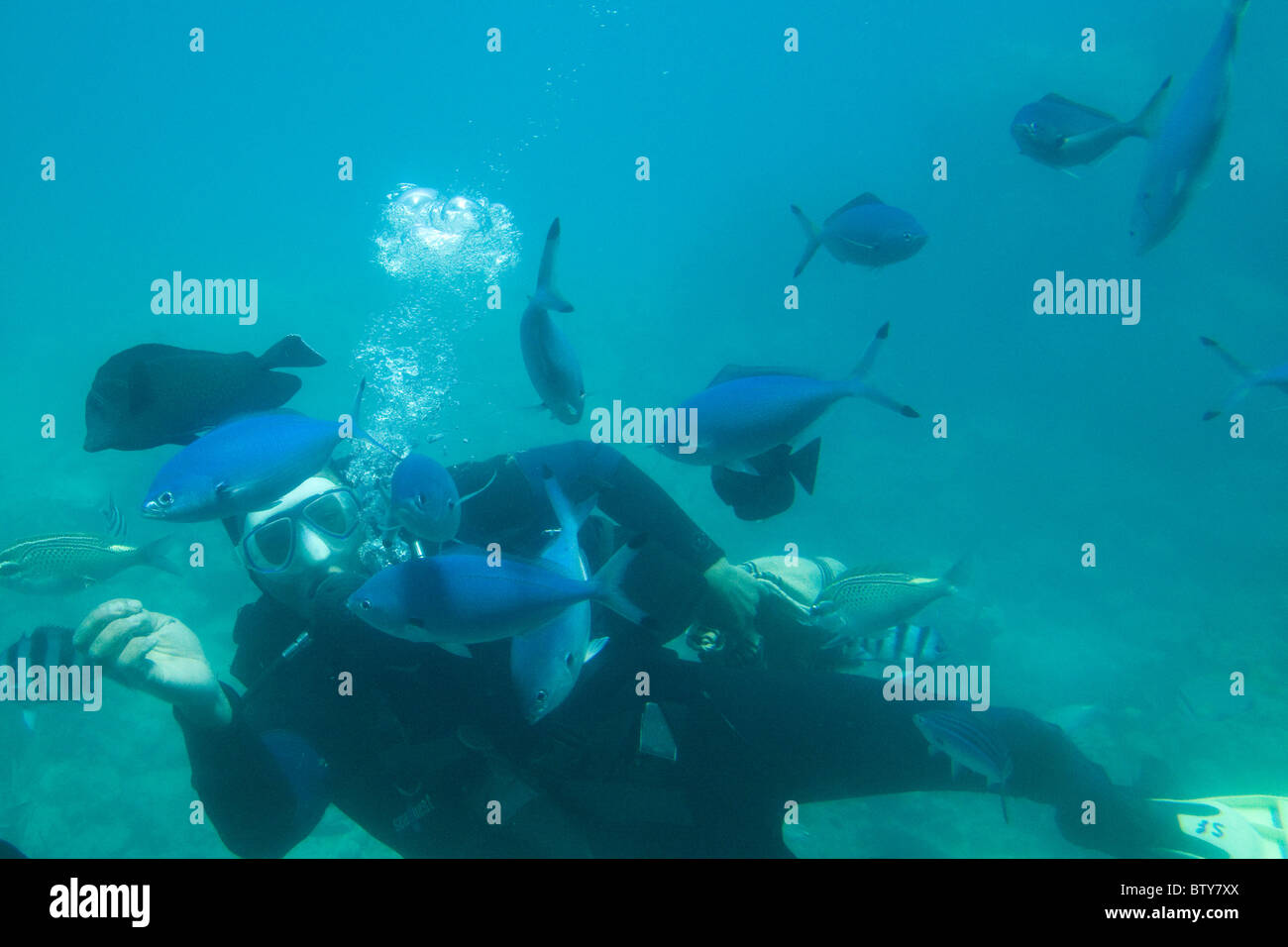 Underwater Swim Sink Fish Hurghada Egypt Africa Coral Reef "Coral Reef ...
