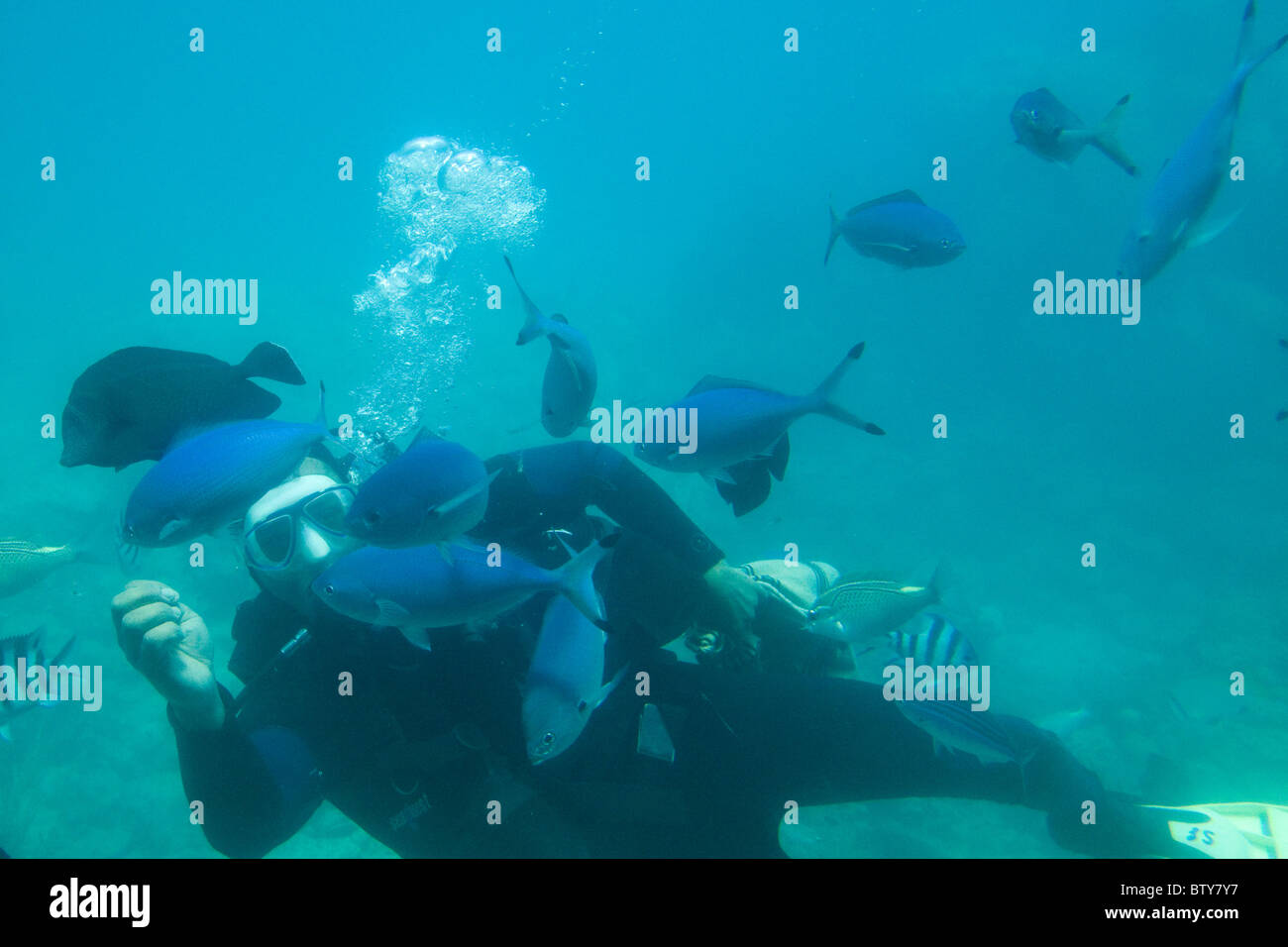 Underwater Swim Sink Fish Hurghada Egypt Africa Coral Reef "Coral Reef ...