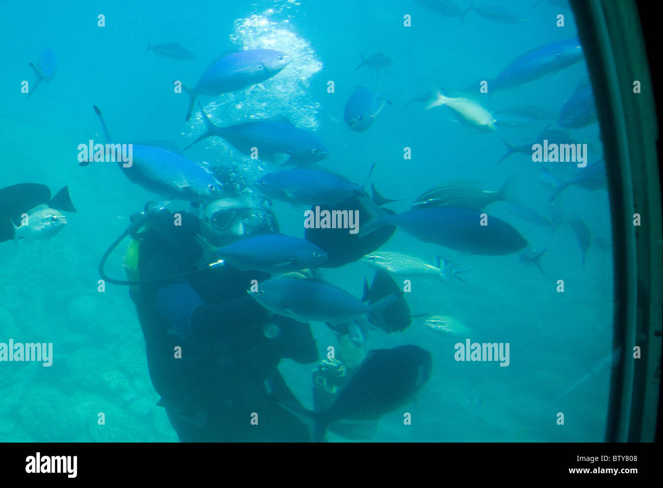 Underwater Swim Sink Fish Hurghada Egypt Africa Coral Reef "Coral Reef ...